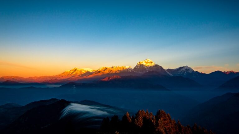 Purak Asia: A Place and Platform - Purak Asia